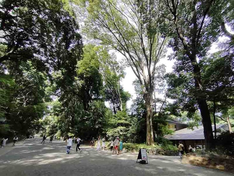 The Meiji Jingu Museum designed by Kengo Kuma – JapanANDdesign